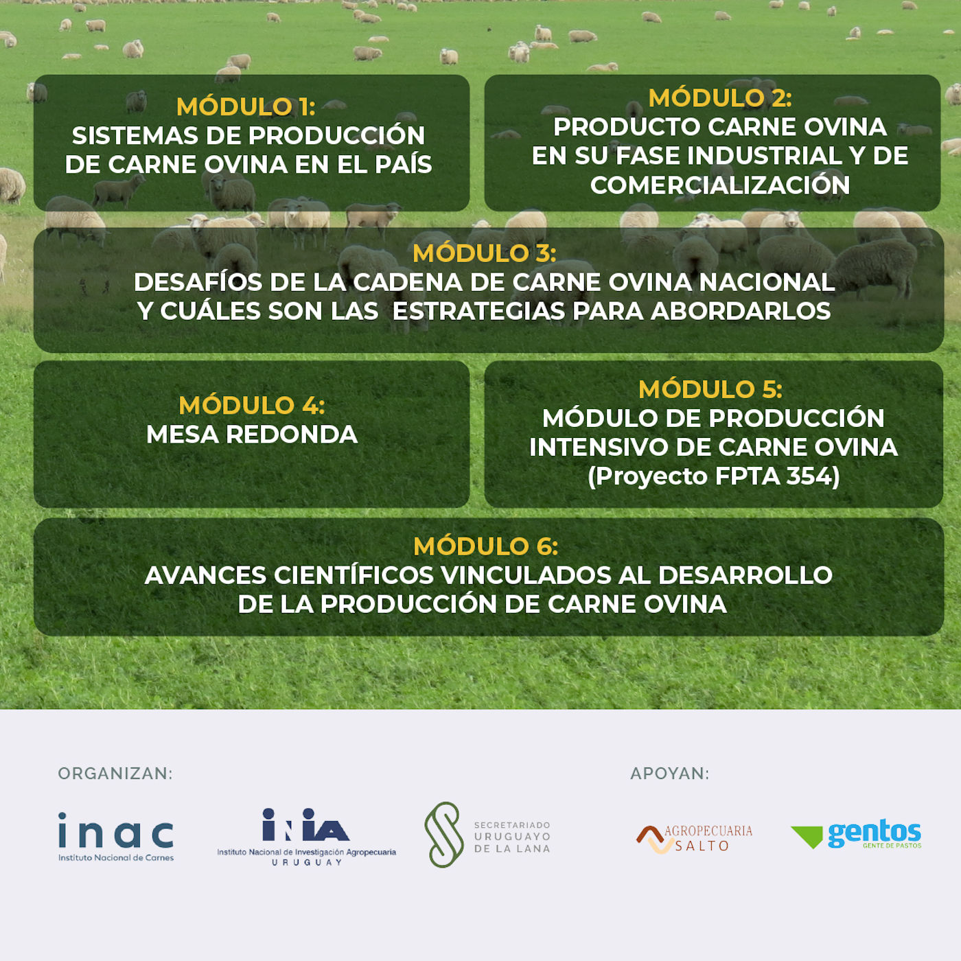 Seminario de carne ovina